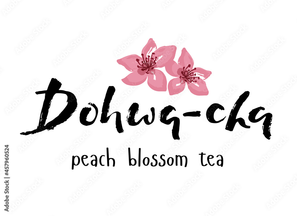 Vector illustration of the handwritten name of Korean traditional Peach ...