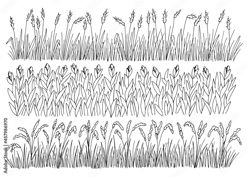 Field set graphic black white landscape sketch illustration vector ...