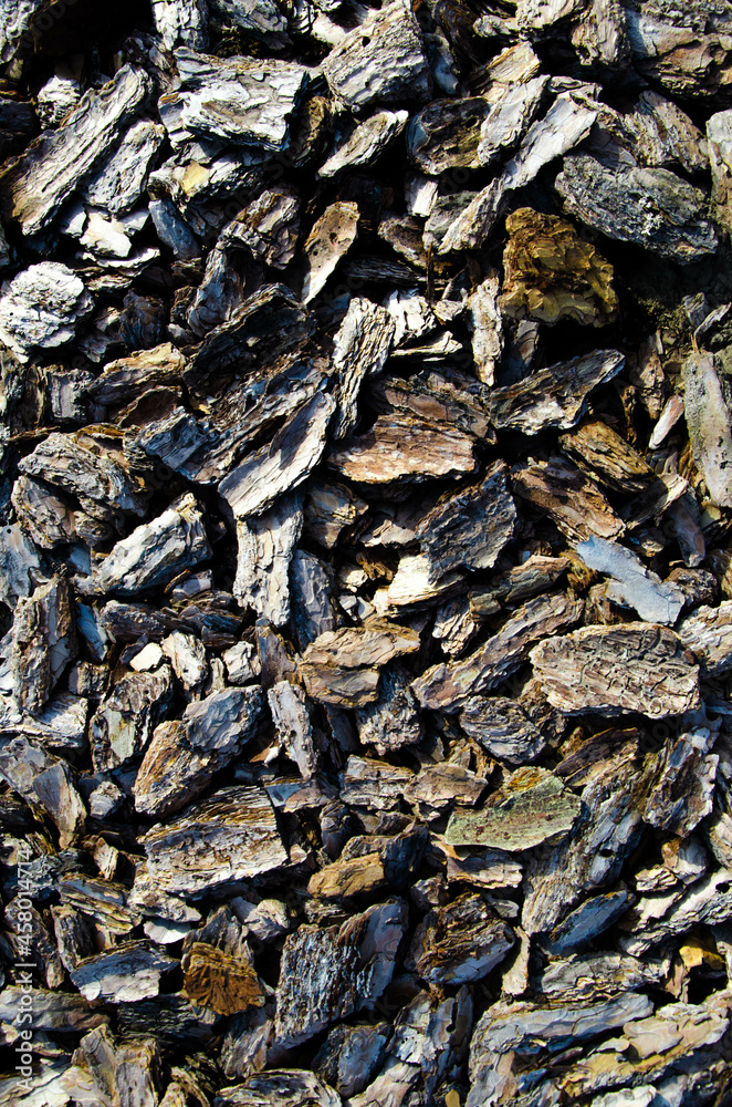 Poster Deciduous kitchen bark texture Tree bark natural background ...