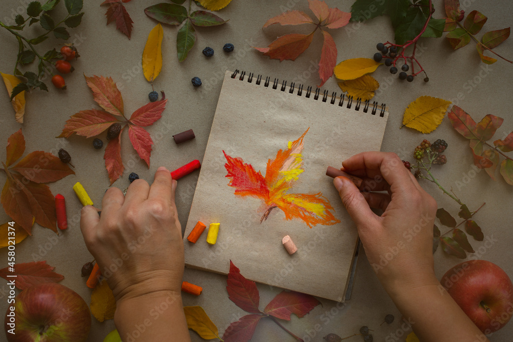 Autumn art flat layout drawing of leaves top view. The concept of ...