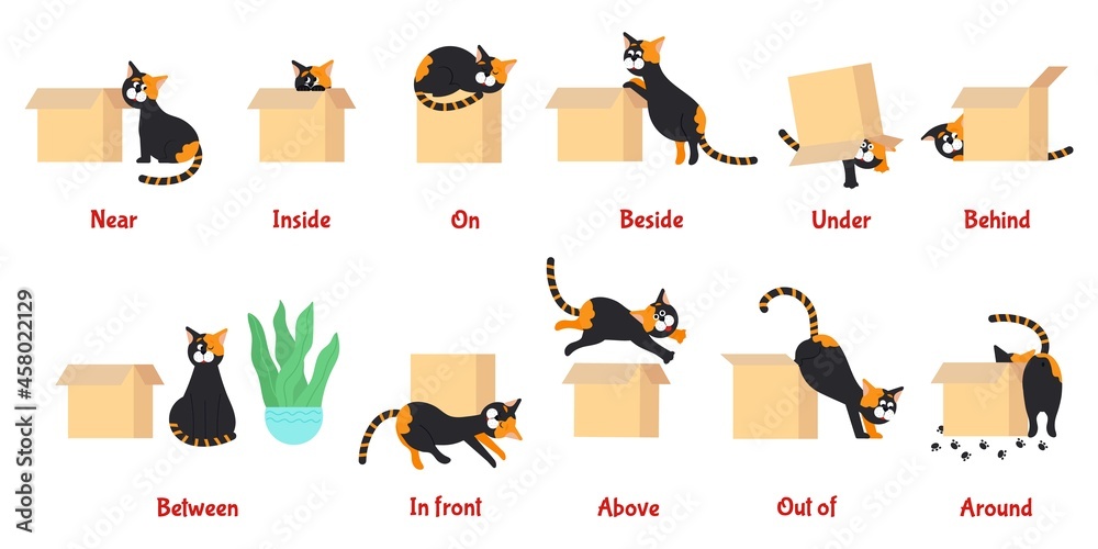 Vetor de Preposition. Learning english prepositions with cute cat ...