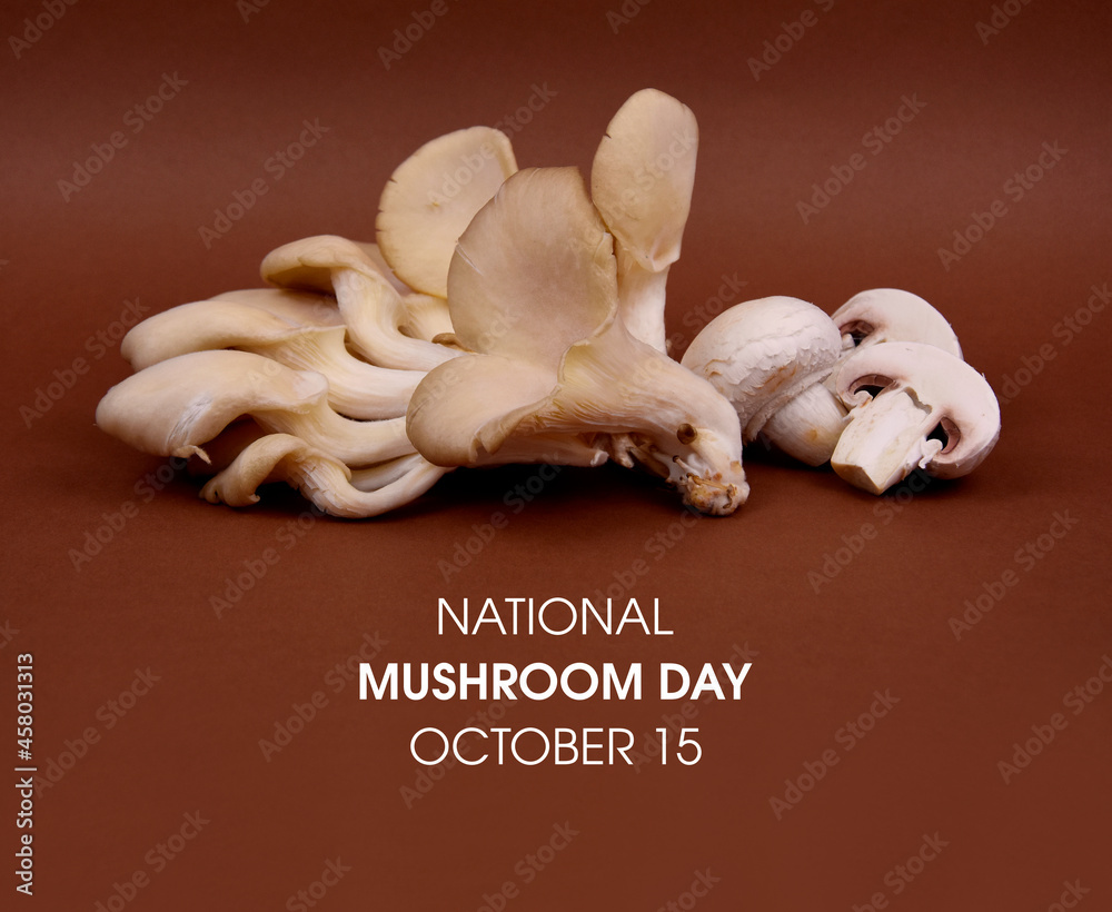 National Mushroom Day stock images. Oyster mushroom and white ...