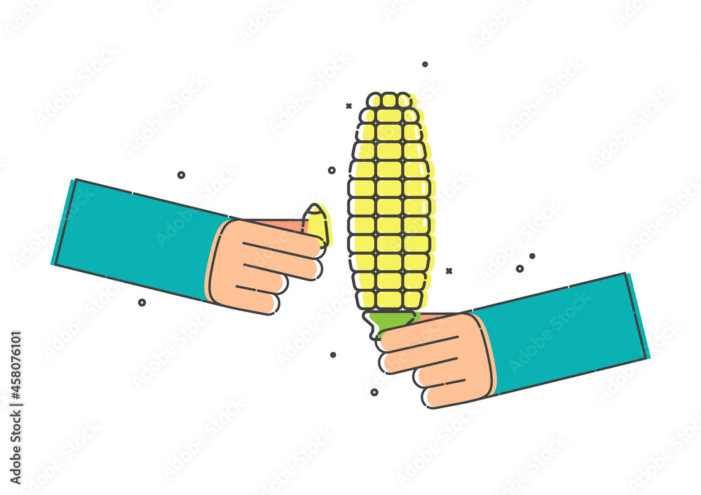 Yellow corn cob in human hand on white background. Fingers keep corn ...