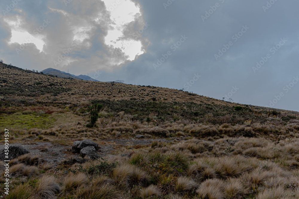 distintos paisajes en un ecosistema de paramo Stock Photo | Adobe Stock