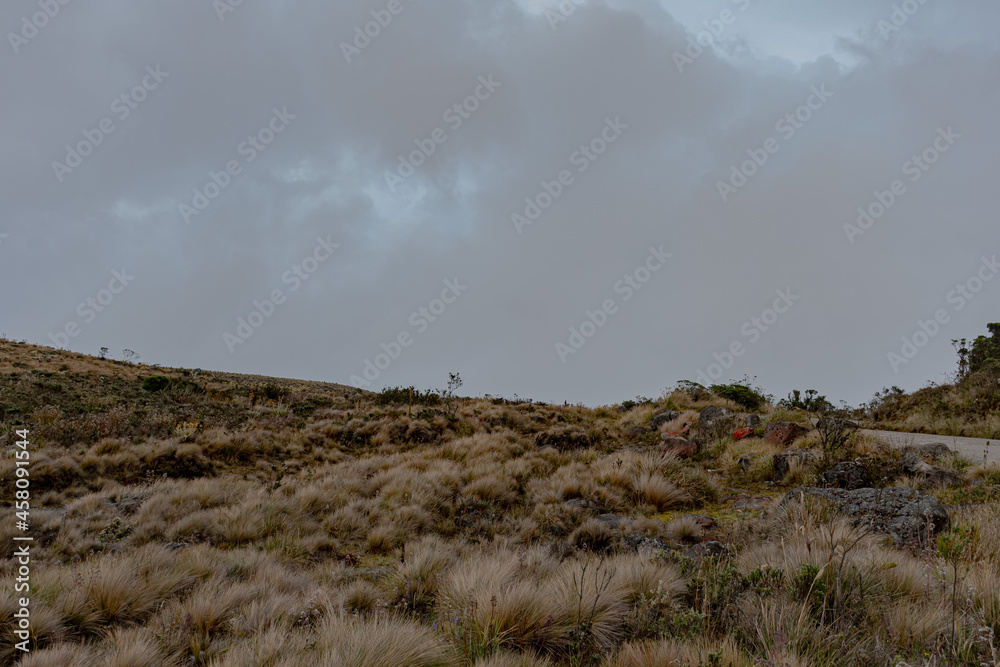 distintos paisajes en un ecosistema de paramo Stock Photo | Adobe Stock