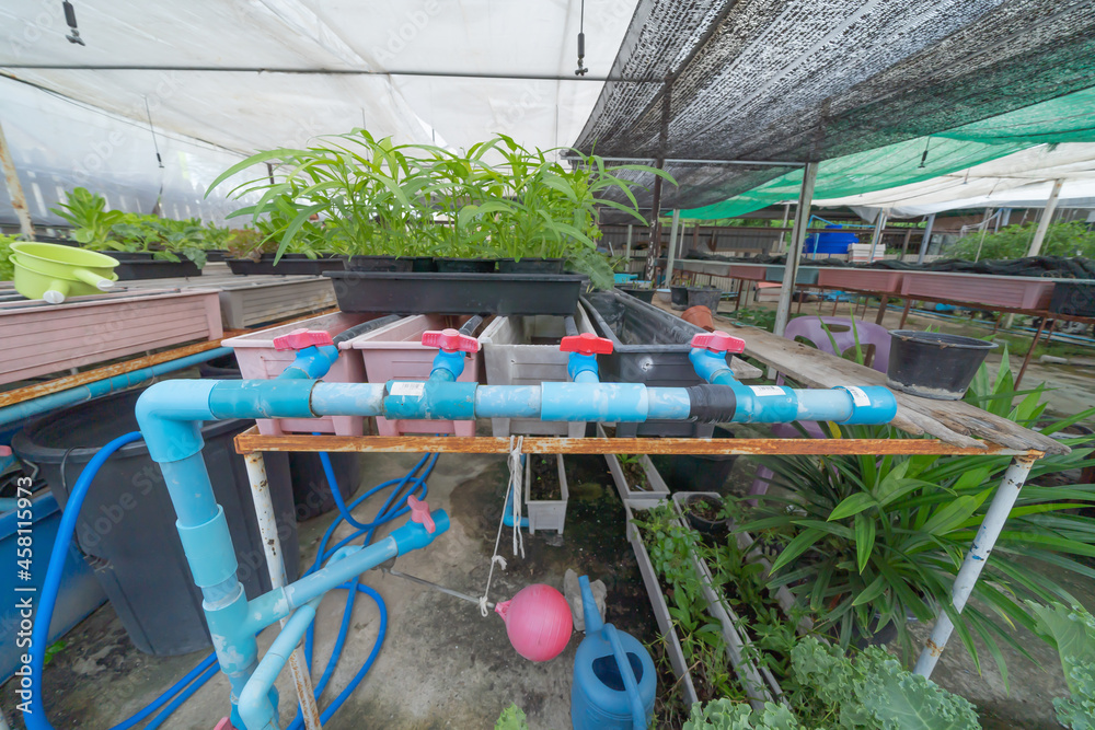 Plastic water pipe installation of drip irrigation or water supply ...