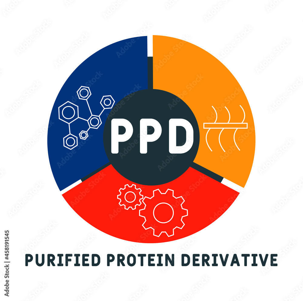 PPD - Purified Protein Derivative acronym. medical concept background ...
