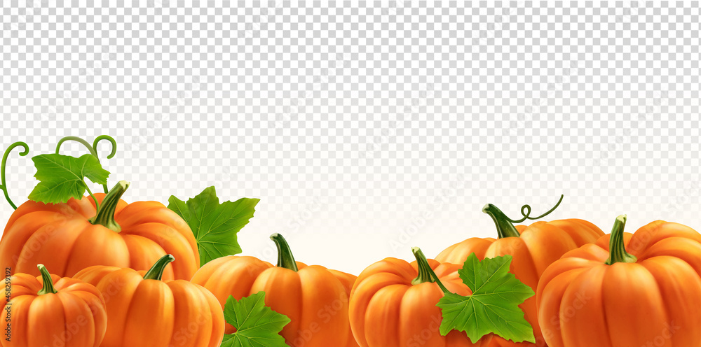 Pumpkins on transparent background. Realistic vector illustration ...
