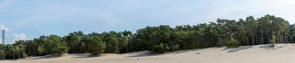 Sanddune ridge with pine tree forest on the edge part of the ...