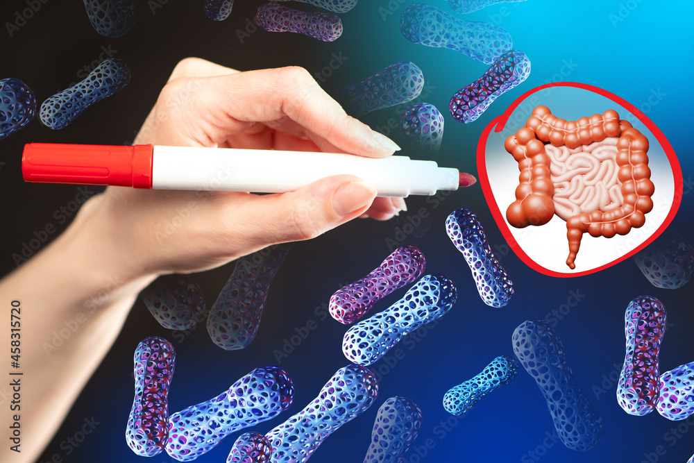 Anaerobic bacteria in intestine. Flora of intestinal tract. Microbiome ...