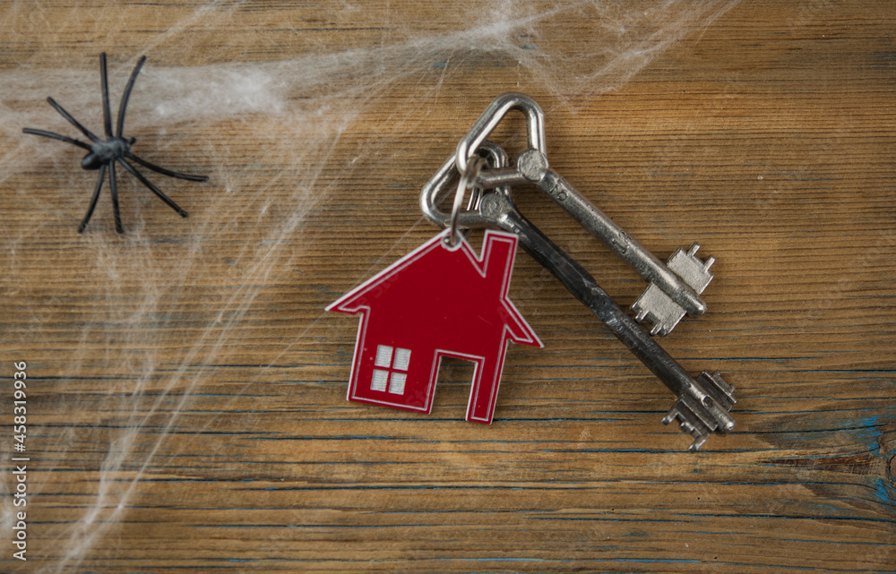 House symbol with silver keys, spider web and black spiders on a wood ...