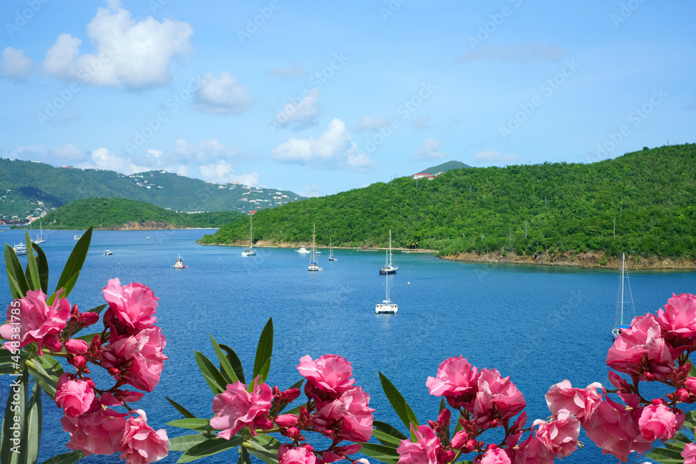 View at beautiful St. Thomas, US Virgin Islands Stock Photo | Adobe Stock