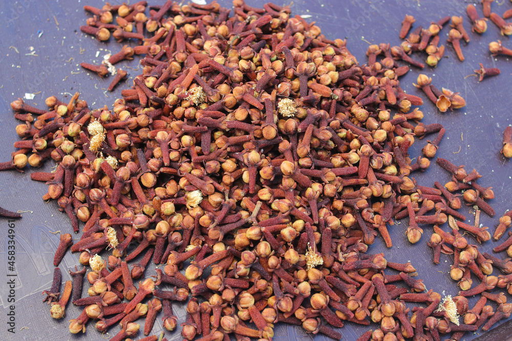 Dried cloves are being dried in the sun. A naturally sweet and aromatic ...