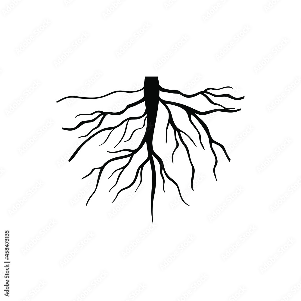 Root vector icon set. tree illustration sign collection. herbs symbol ...