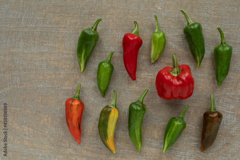 Chili peppers of different shape and color harvested from one plant ...