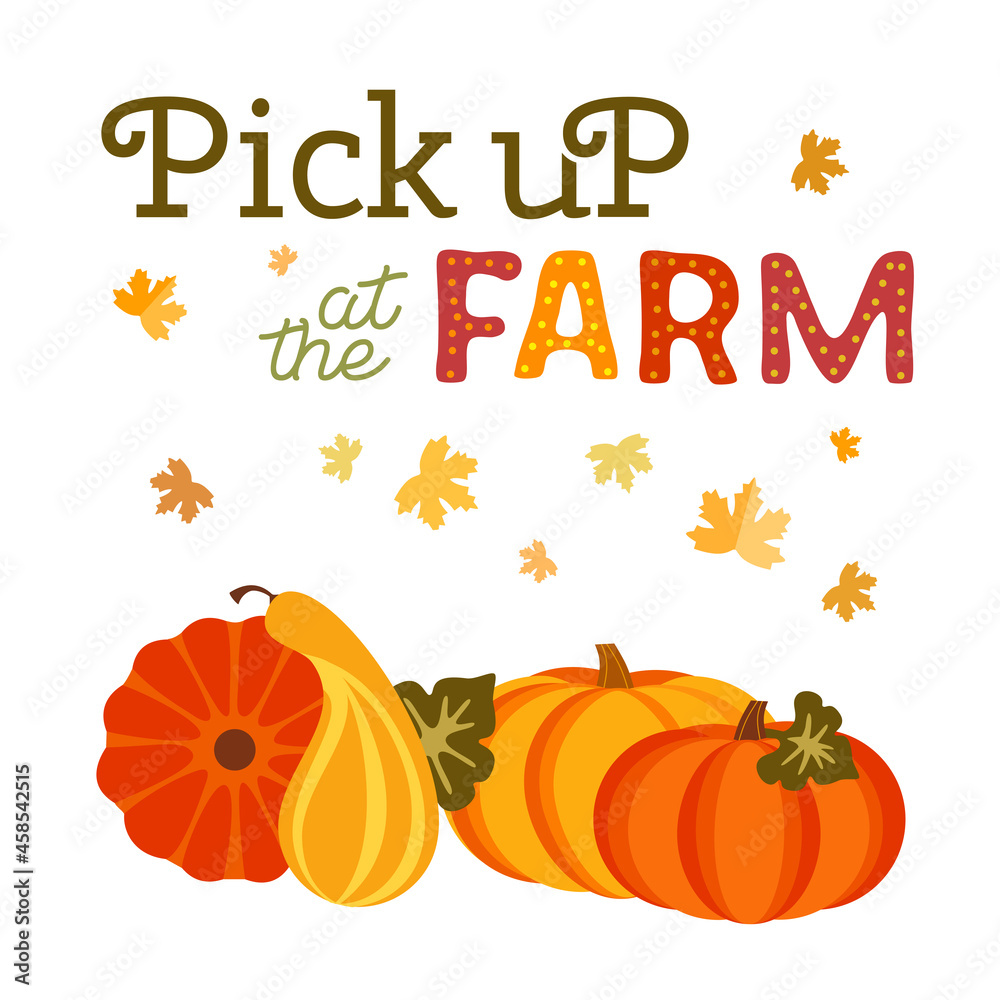 Cartoon Pumpkin Patch