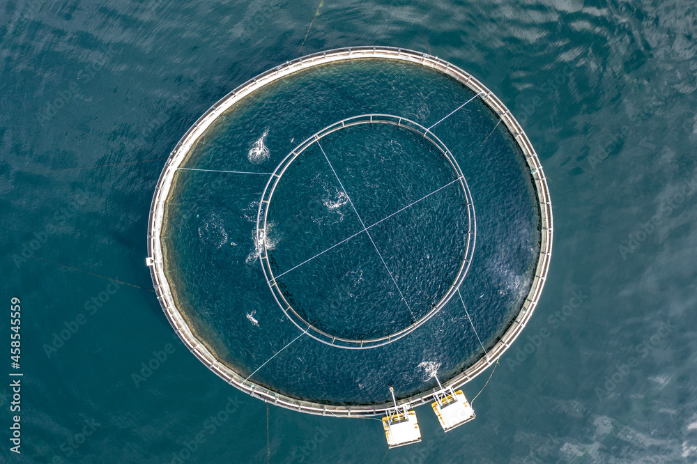 Bird's Eye View of a Fish Pen in an Aquaculture Farm Stock Photo ...