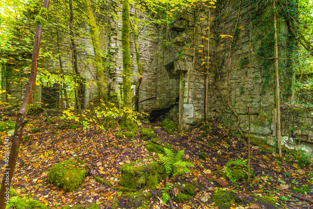 ABANDONED Buchanan Castle ruined country house in Stirlingshire ...