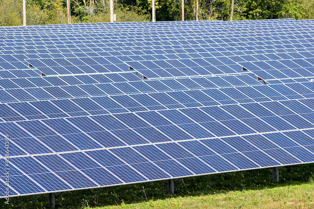 Solar Power Panels in a Solar Farm for Clean Green Alternative Energy ...