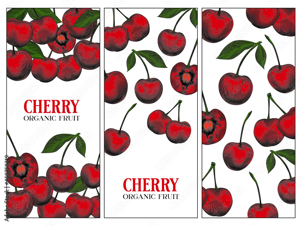 Cherry template design, Hand Draw, Vector, Engraved illustration, Berry ...