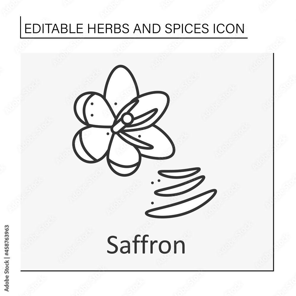 Saffron line icon. Aromatic pungent dried stigmas. Flavor foods. Herbs ...