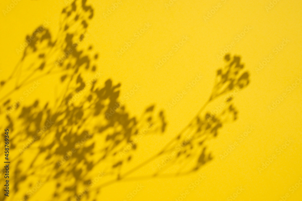 Trending concept in natural materials with plant shadow on yellow ...