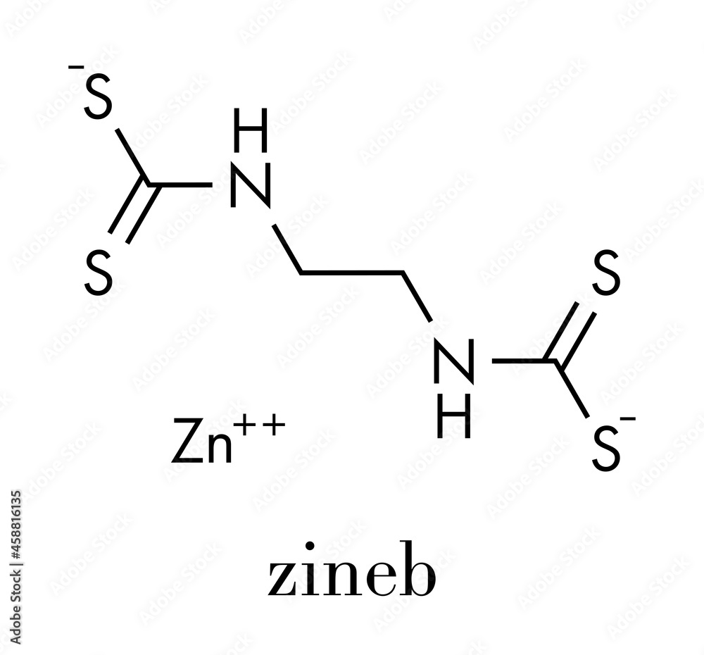 Zineb zinc organosulfur fungicide molecule. Skeletal formula. Stock ...