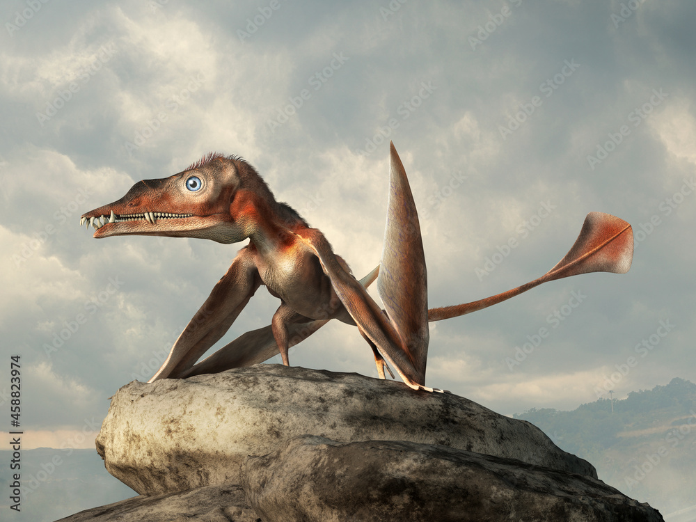 Eudimorphodon is one of the oldest know pterosaurs, a prehistoric fish ...