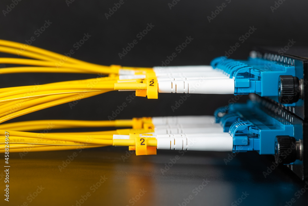Optical distribution panel with optic patch cord cables, gigabit ...