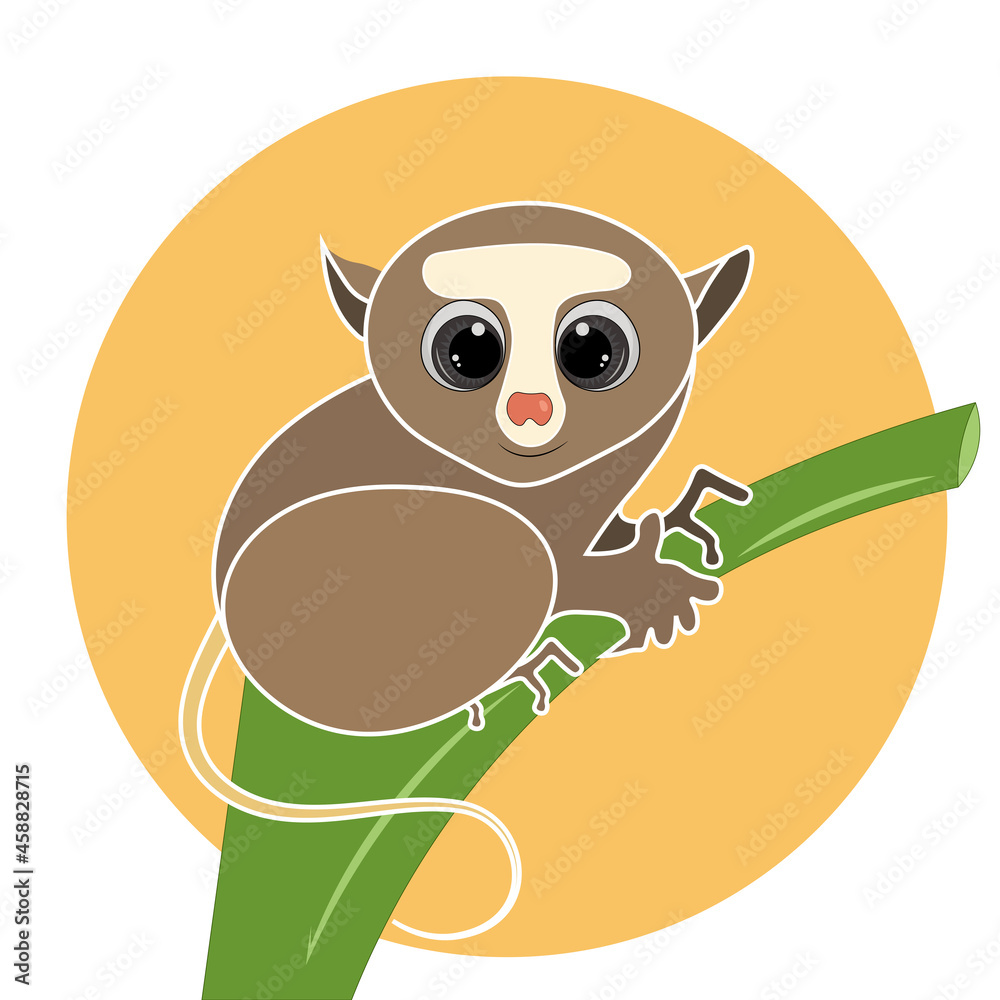 Tarsier. The monkey is sitting on a branch. A sloth with big eyes is ...