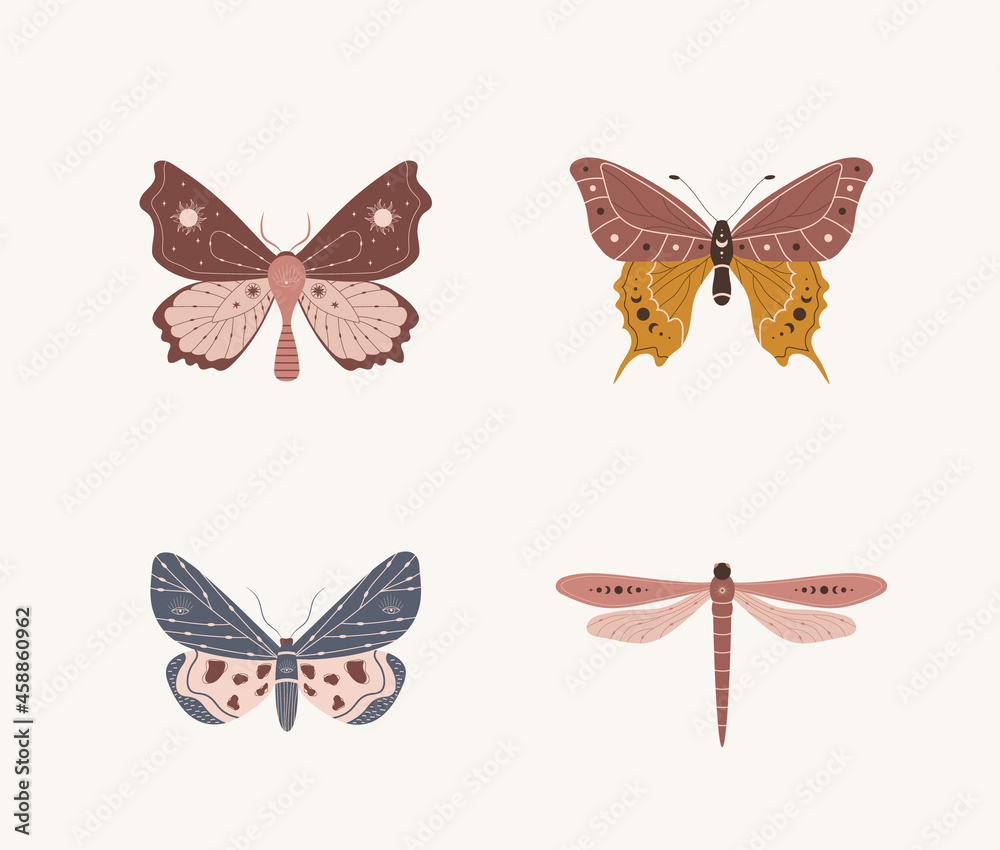 Boho butterfly collection. Set of insects with celestial elements ...