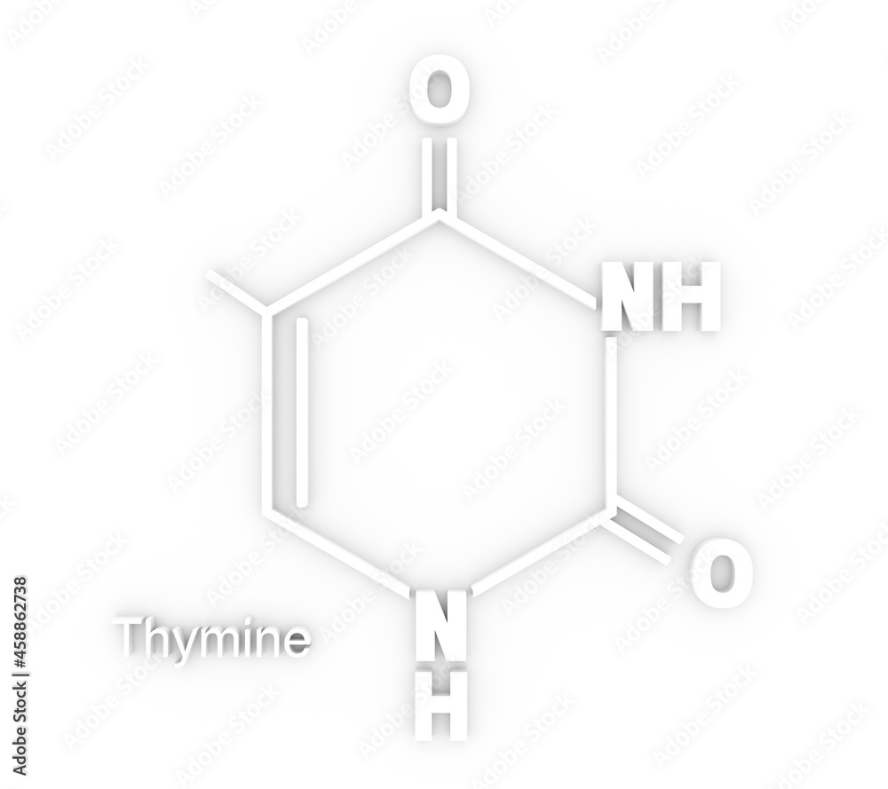 Chemical structural formula of thymine - DNA and RNA nitrogen base ...