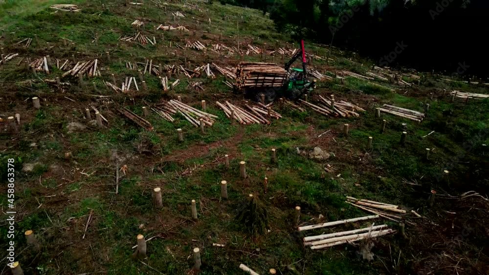 Aerial shot. Forwarder during clearing forest after trees cutting ...