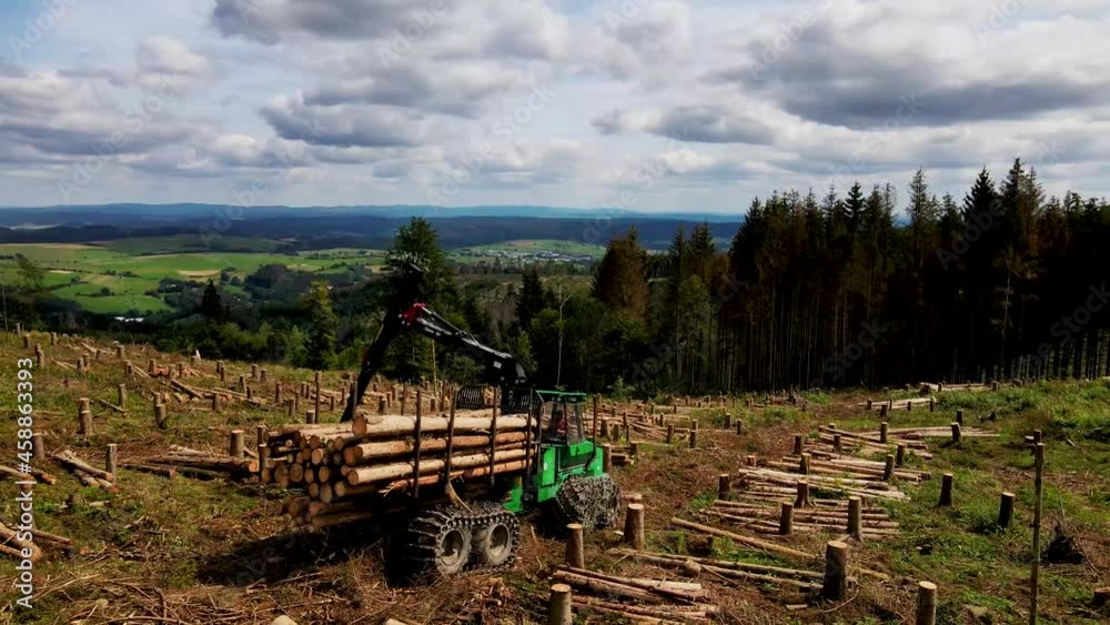 Truck with a crane loads logs, loading logs with a manipulator ...