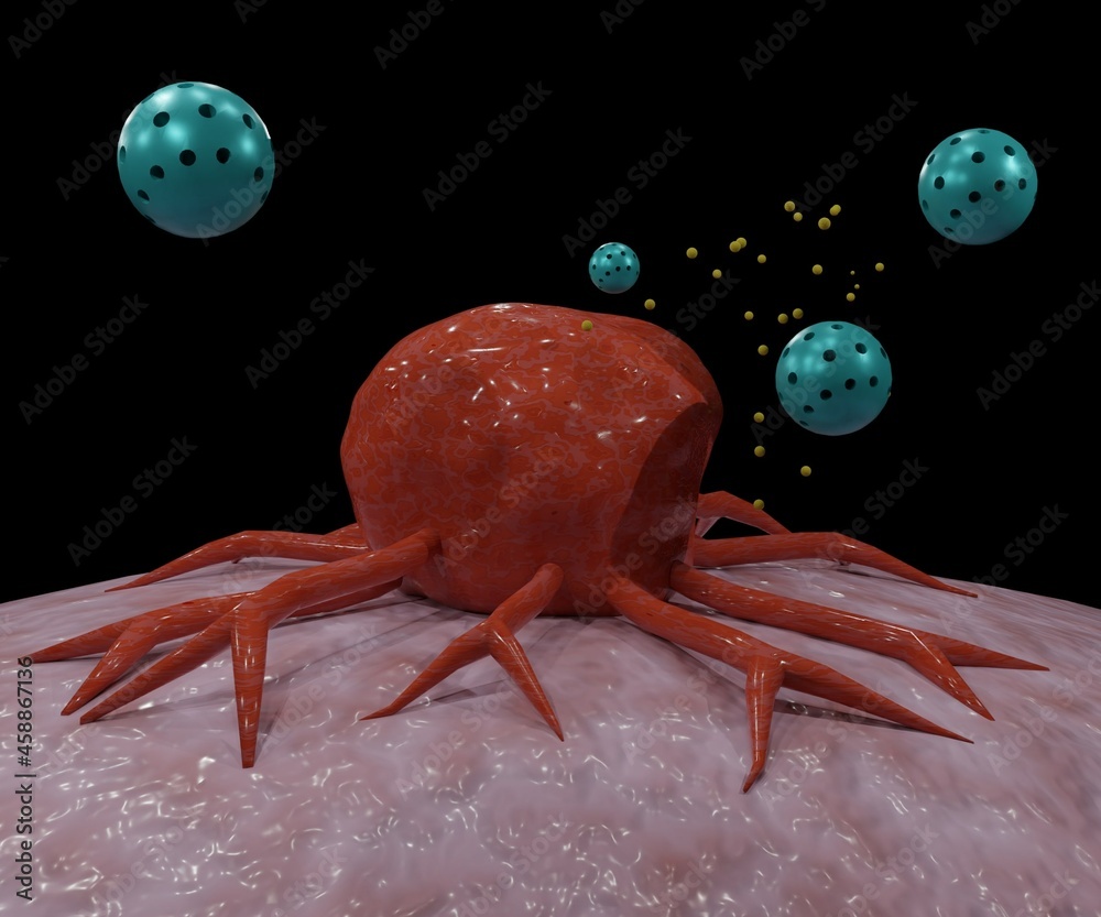 nanodrug delivery system with liposomes encapsulation cancer cell ...