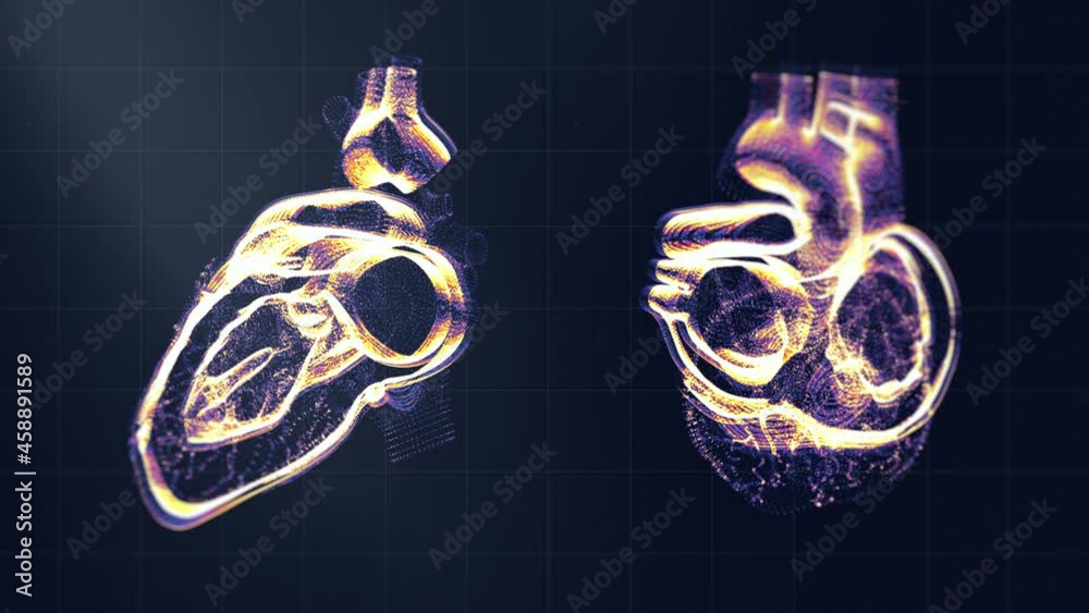 Heart scan animation. Vital signs are displayed on hi tech hospital ...