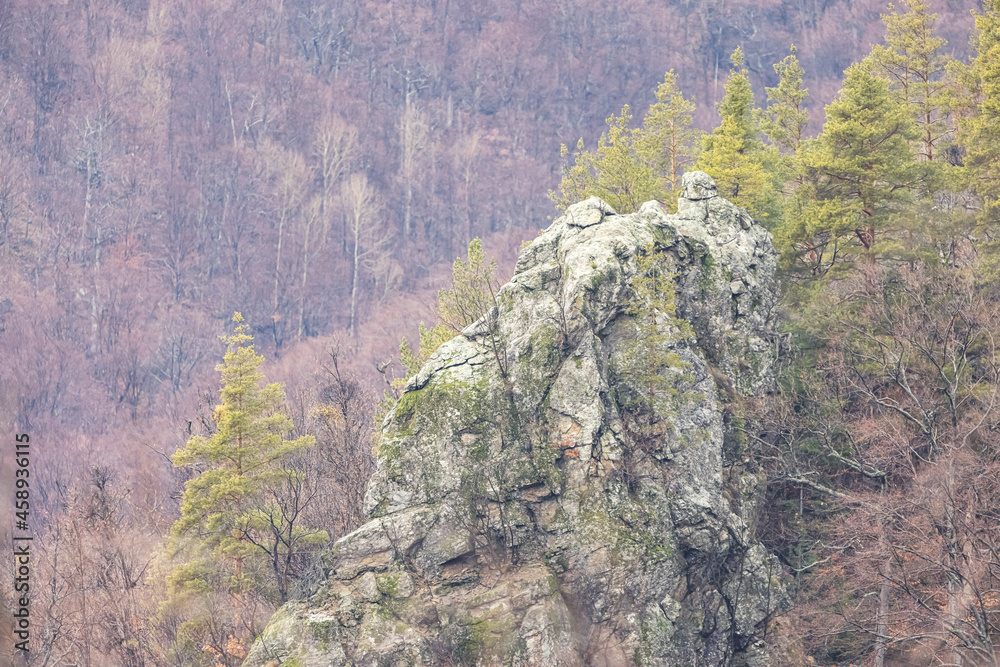 Stanisoara monastery called Nucet, situated at the foot of massive ...