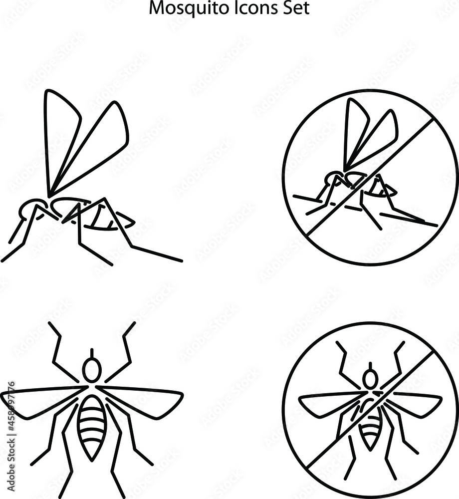mosquito icons set isolated on white background. mosquito icon thin ...