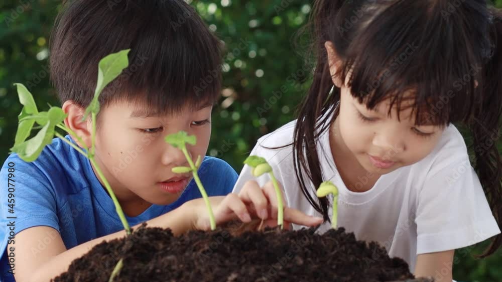 Asian kids with attractive age 4 to 8 years, with a heart to love the world Growing seedlings ...