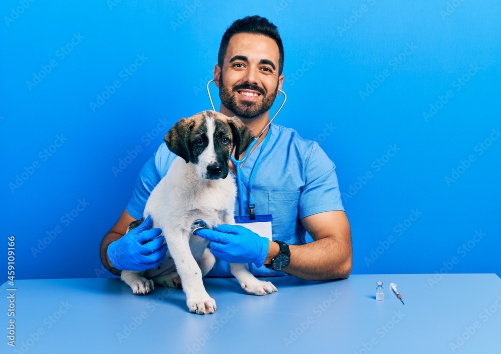 Handsome hispanic veterinary man with beard checking dog health using ...