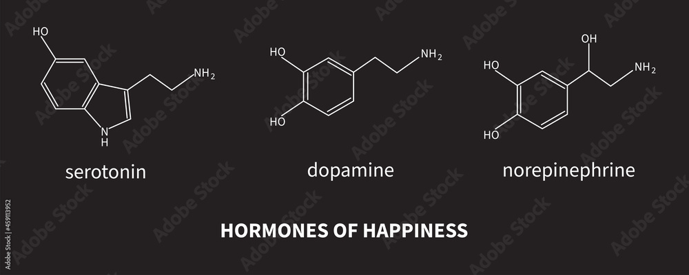 Serotonin Dopamine And Norepinephrine