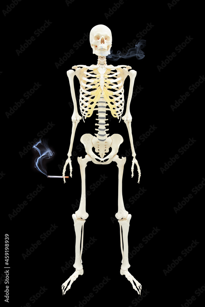 Foto de full body of human skeletons smoking cigarette Conceptual smoke ...