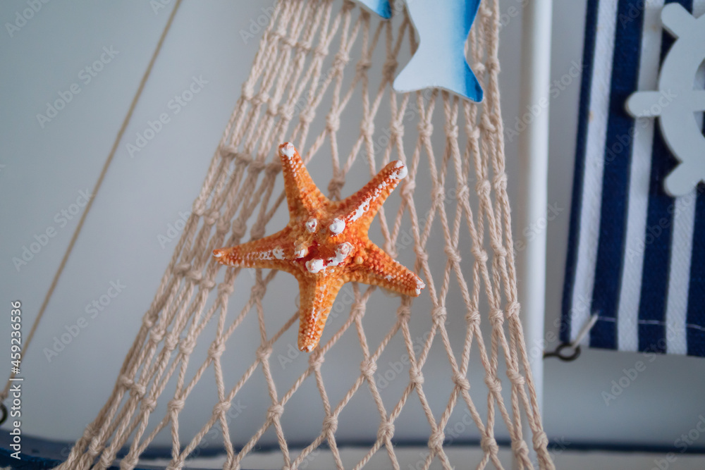Star fish and net with shell on the boat Stock Photo | Adobe Stock