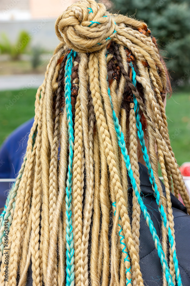 Rastafarian Hairstyle
