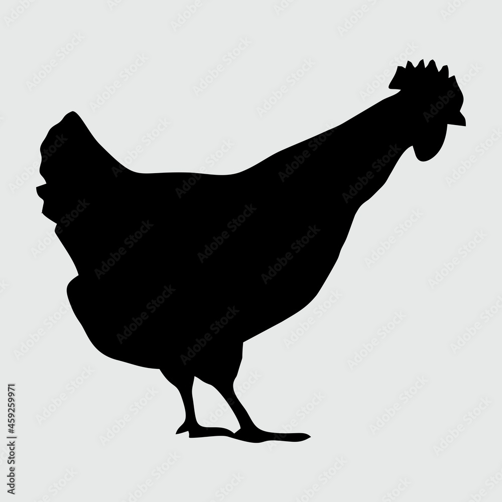 Chicken Silhouette, Chicken Isolated On White Background Stock Vector ...