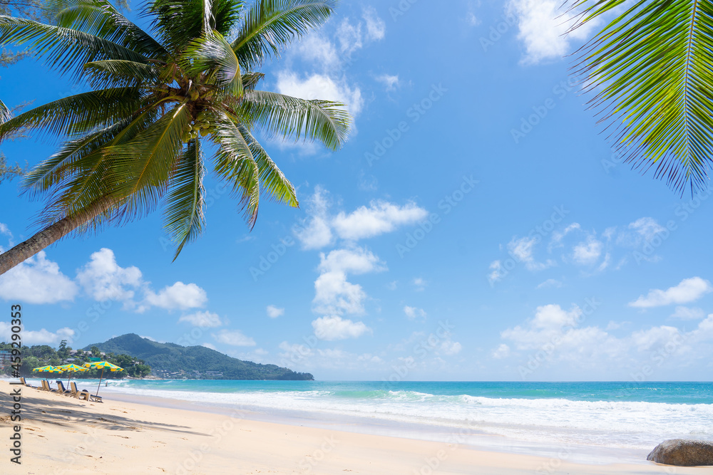 Coconut trees on beach on island blue sky and clouds background.. Stock ...