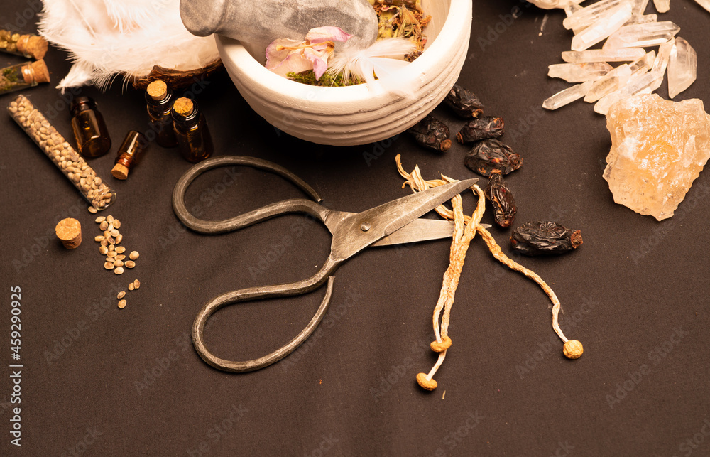 Table set focus at magic mushrooms. Psilocybin psychedelic mushrooms ...