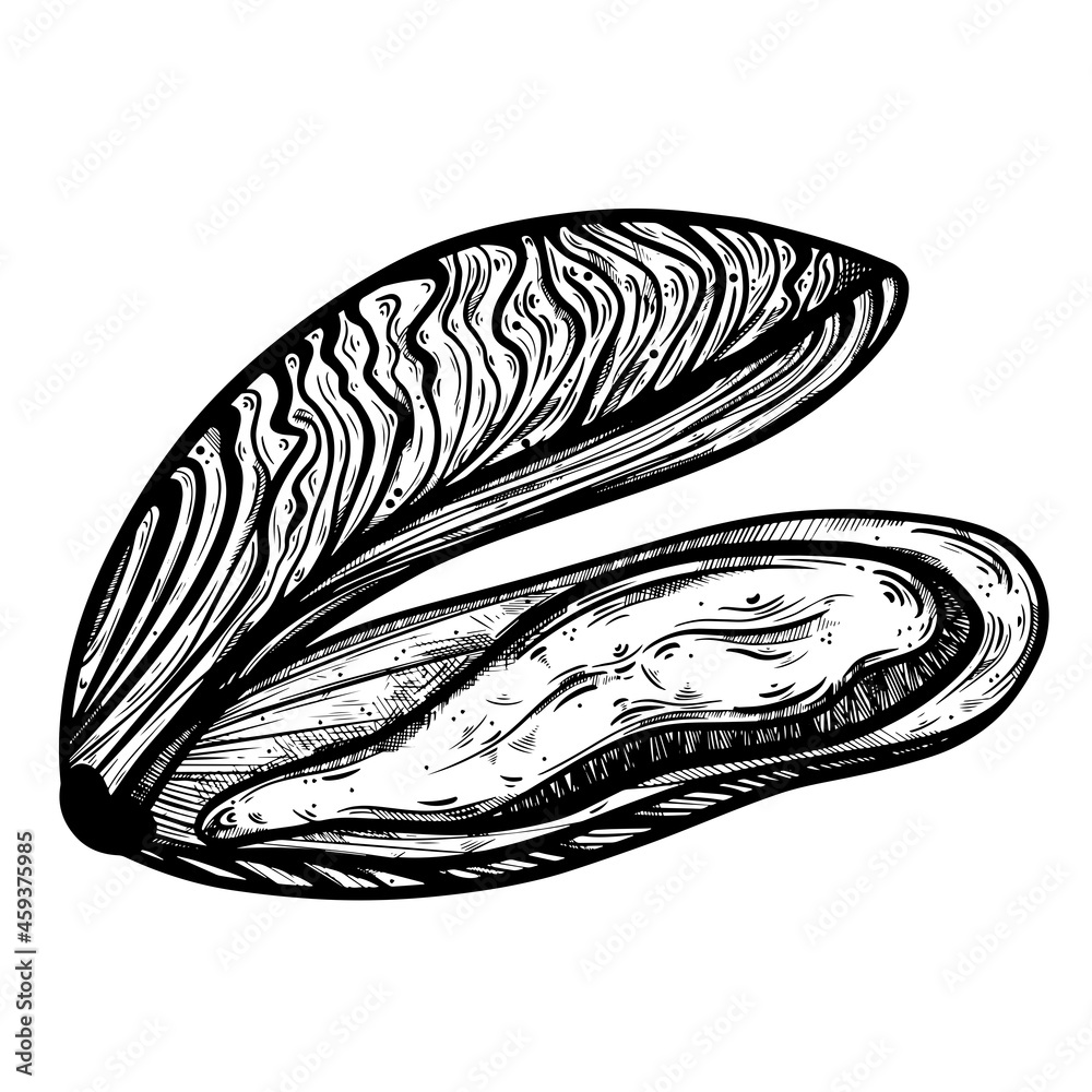 Mussel vector icon. Hand drawn doodle isolated on white background. Ink ...