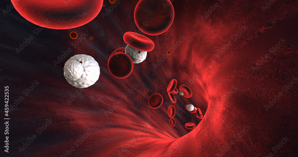 Human Vein Bloodstream Animation. Science And Health Related High ...