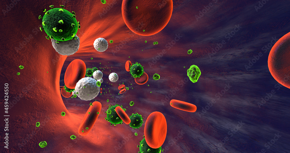 Infected Human Body. Red And White Blood Cells And Viruses Flowing ...